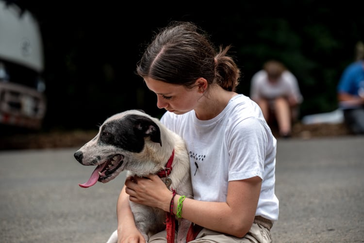 Costa Rica Animal Rescue: Teen Volunteer Project in 2026