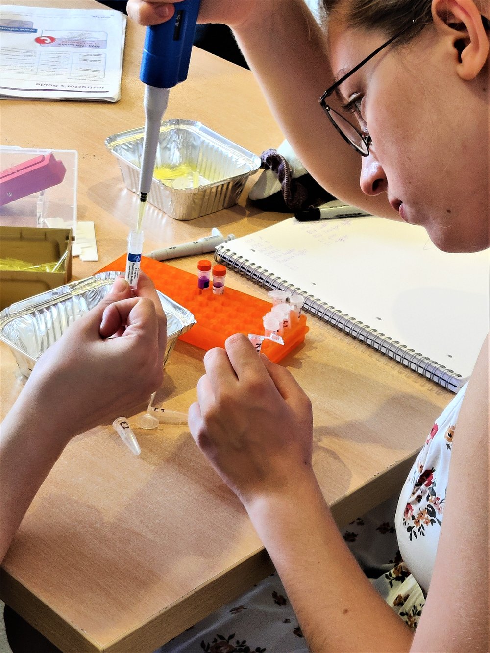 Exceptional Pre-College Chemistry Program for High Schoolers at ...