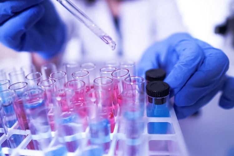 Explore Medicine and Disease: Premium Pre-College Program for High ...