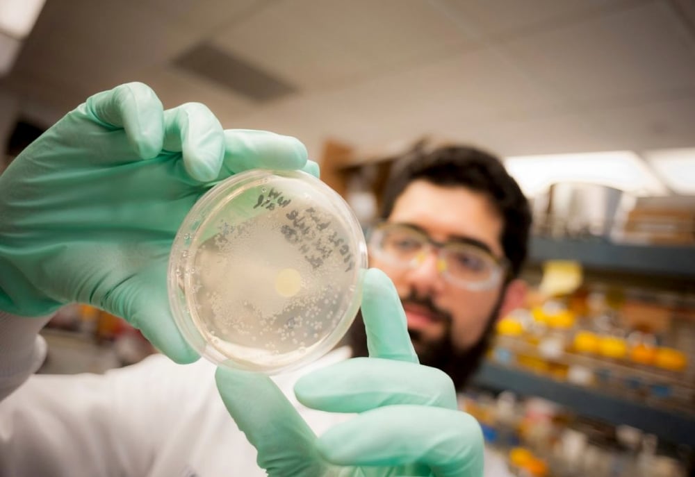 Embark on a Biotechnological Journey with the Exclusive Pre College ...