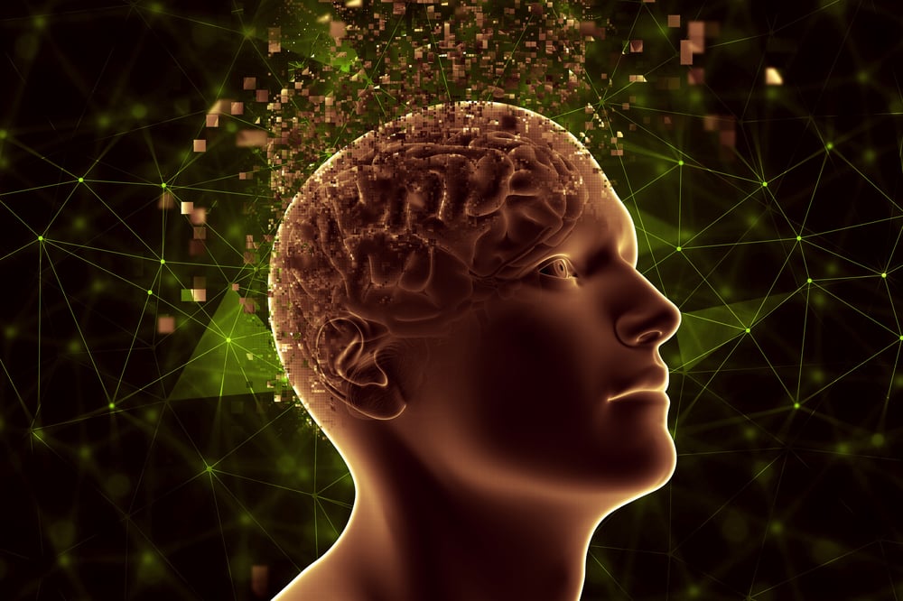 Psychology & Neuroscience at UC Berkeley: Explore in 2026