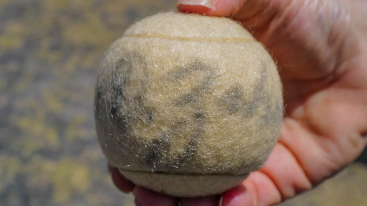 Appraisal: 1949 Babe Didrikson Zaharias-signed Ball – WABE