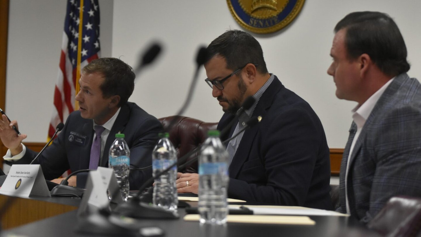 Georgia Senate study panel considers restrictions on trans women’s ...