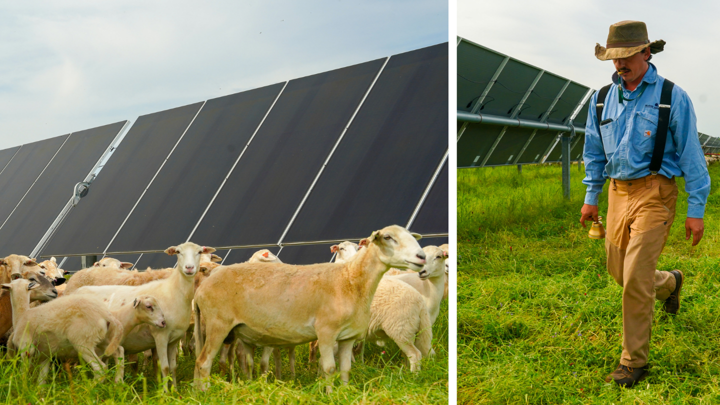 Tech companies planned to use solar to power Georgia data centers. AI ...