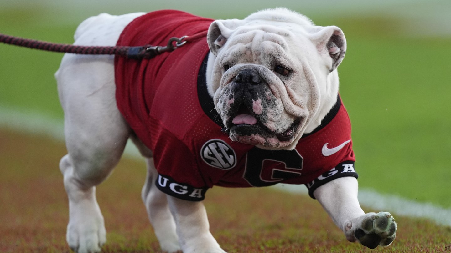 From Uga to Ralphie, live animal mascots inspire fans and create deep ...