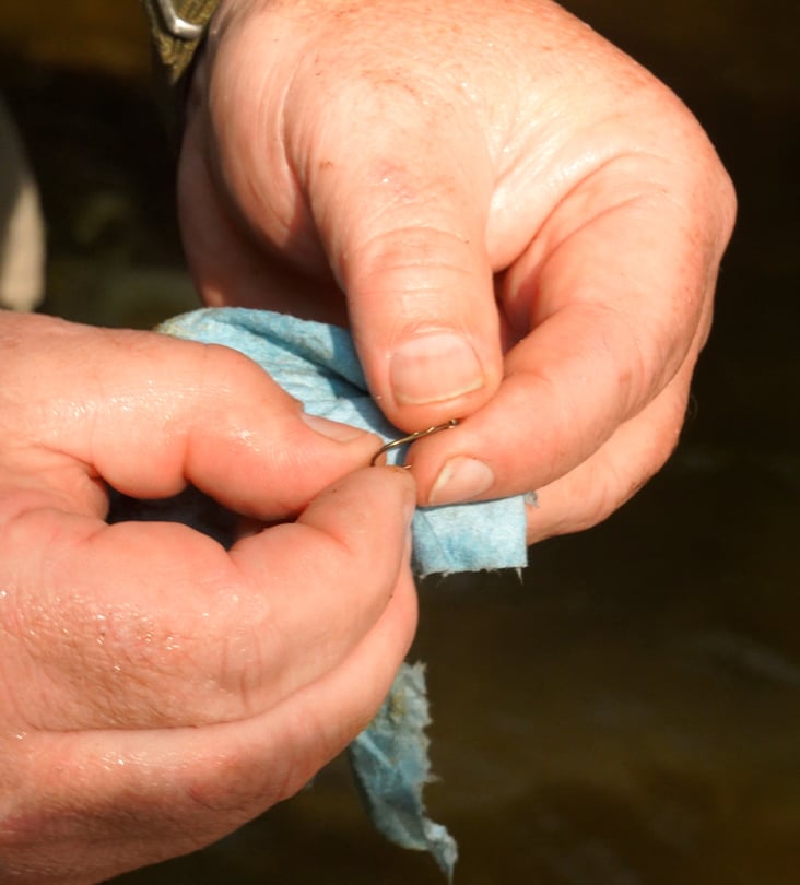 Georgia biologists study impacts of left-behind fish hooks on at-risk species – WABE
