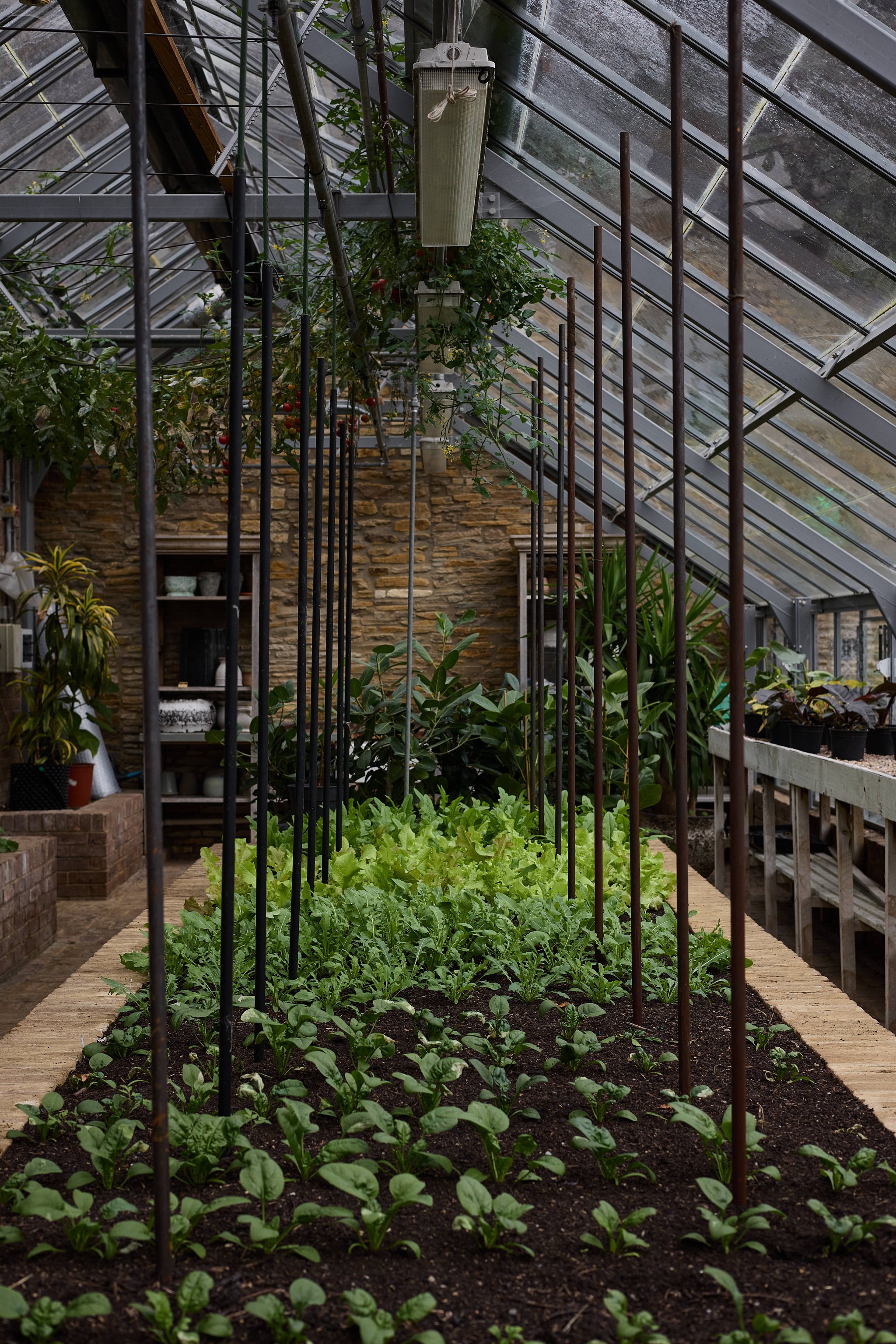 Inside The Cocochine, Chef Larry Jayasekara’s Hyperseasonal, Farm ...