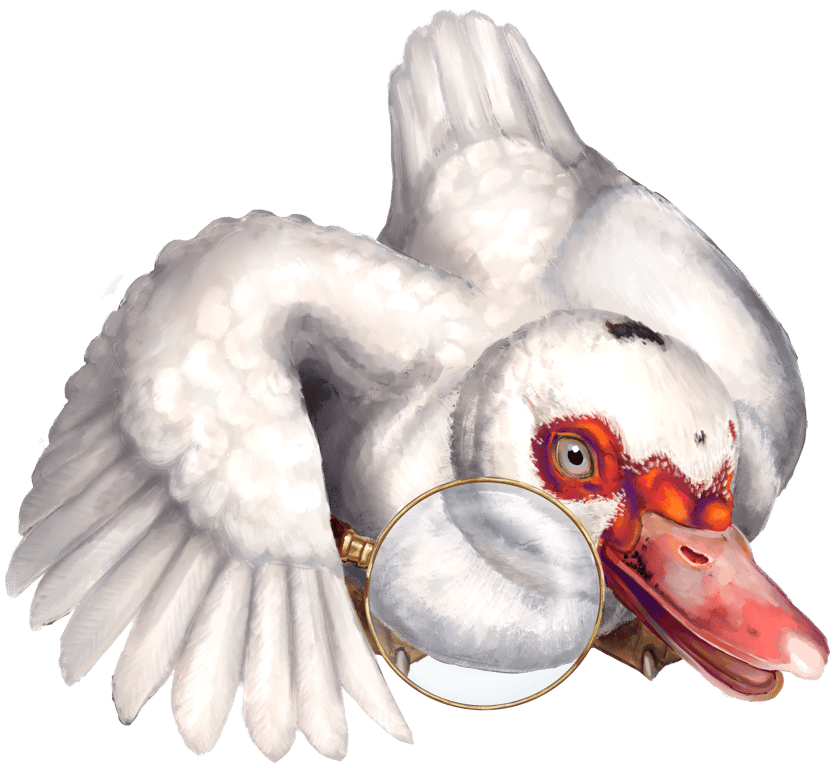 Dr Scovy - Earn Tokens and Feed the DashDucks