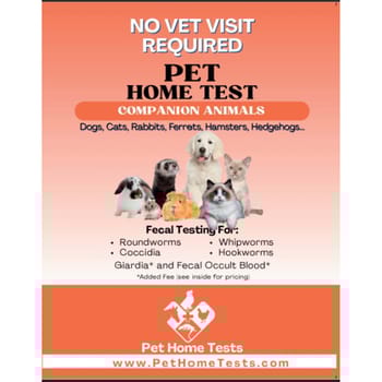 Fecal Worm Test@Home Kit 1 ct