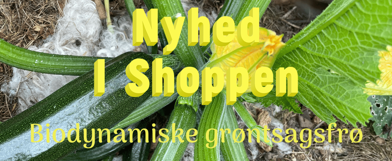 Salg af anderledes og sjældne tomatsorter