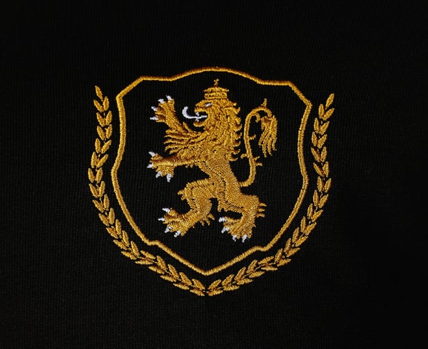 Суетшърт с качулка и трибагреник на ръкава