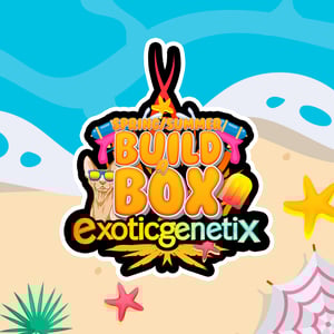 Holiday Build A Box – Exotic Genetix