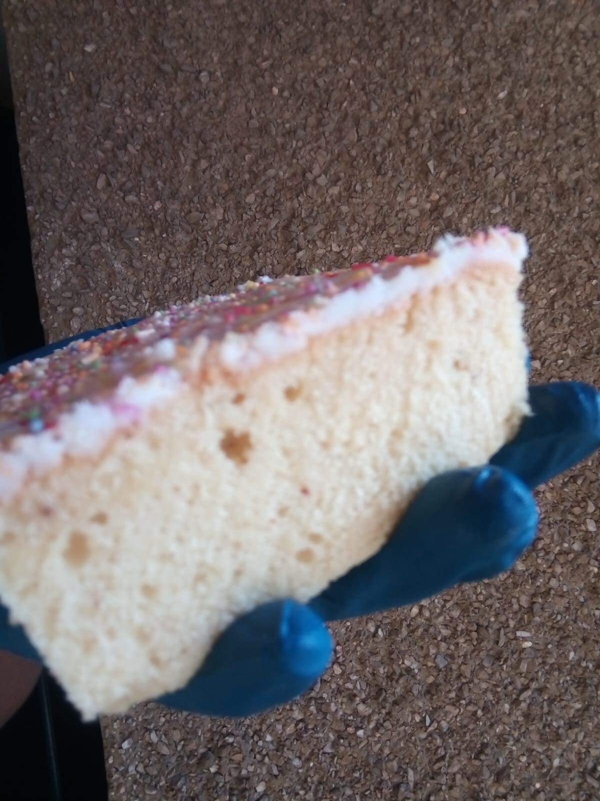 Nostalgic Vanilla Sponge Cake Slab - Old School Cake | Wakuda