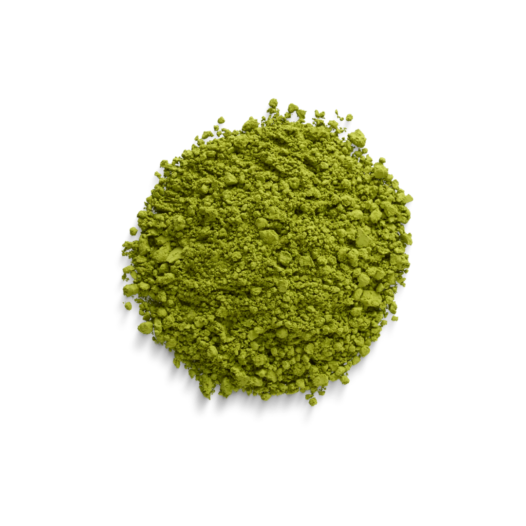 Ceremonial Grade Matcha Powder | Wakuda