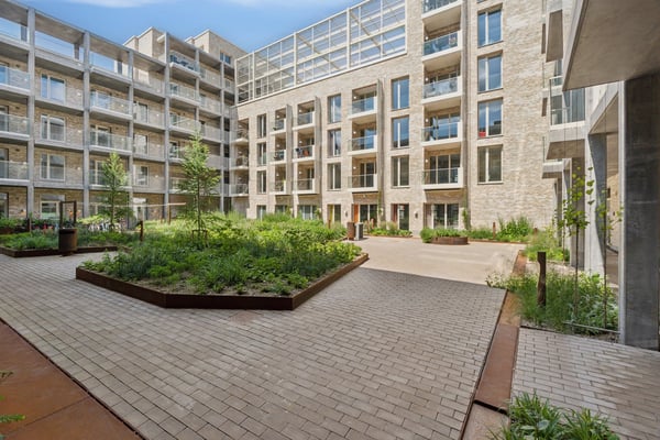 RENTAL APARTMENTS WITH BEAUTIFUL NATURAL LIGHT AND HIGH-QUALITY ...