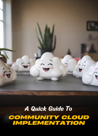 A Quick Guide To Community Cloud Implementation - TechDogs