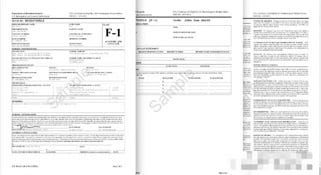 Initial I-20 - 常青藤精英教育