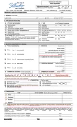 Commercial Permit Application Form | Fill and sign online with Lumin