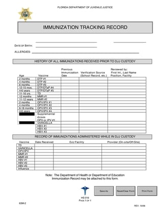 Florida Immunization Tracking Record | Fill and sign with Lumin