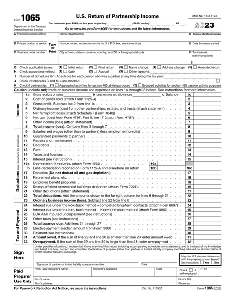 Form 1065 | Fill and sign online with Lumin