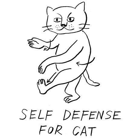 self defence for cat | 6JUMBOPINS