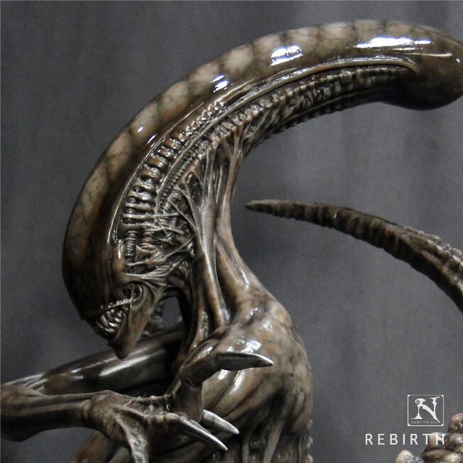 REBIRTH 完成品 | Roswell Japan