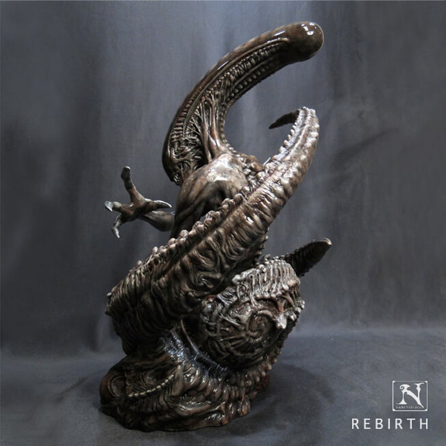 REBIRTH 完成品 | Roswell Japan