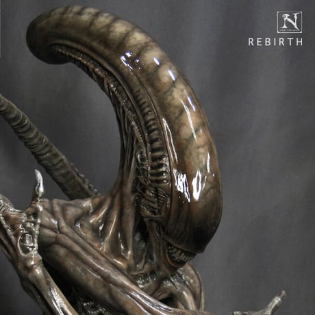REBIRTH 完成品 | Roswell Japan