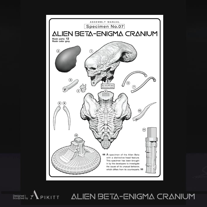 Alien Beta - Enigma Cranium kit【取り寄せ】 | Roswell...