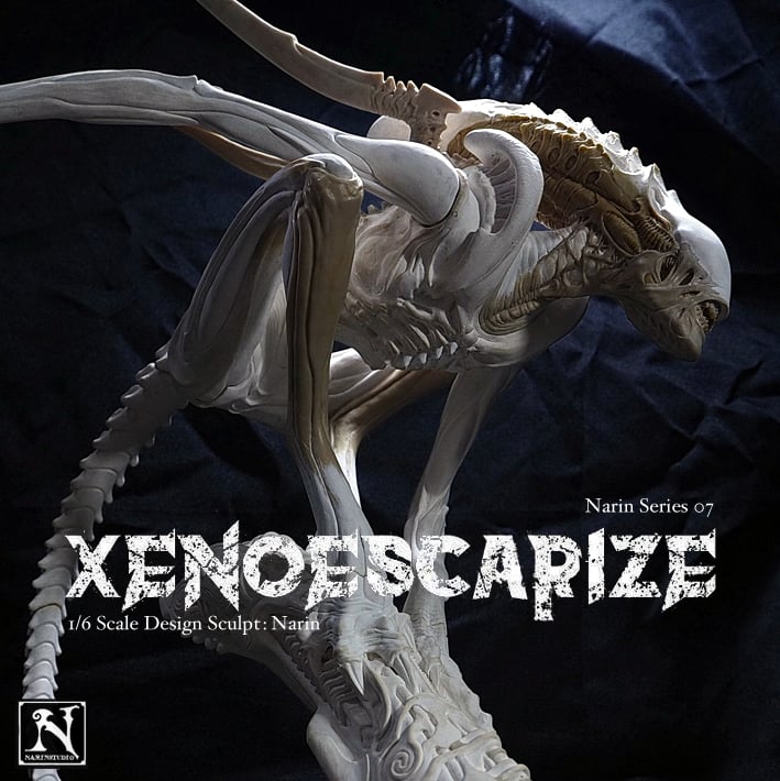 Narin Series 07" XENOESCARIZE " kit【取り寄せ】 | Ro...