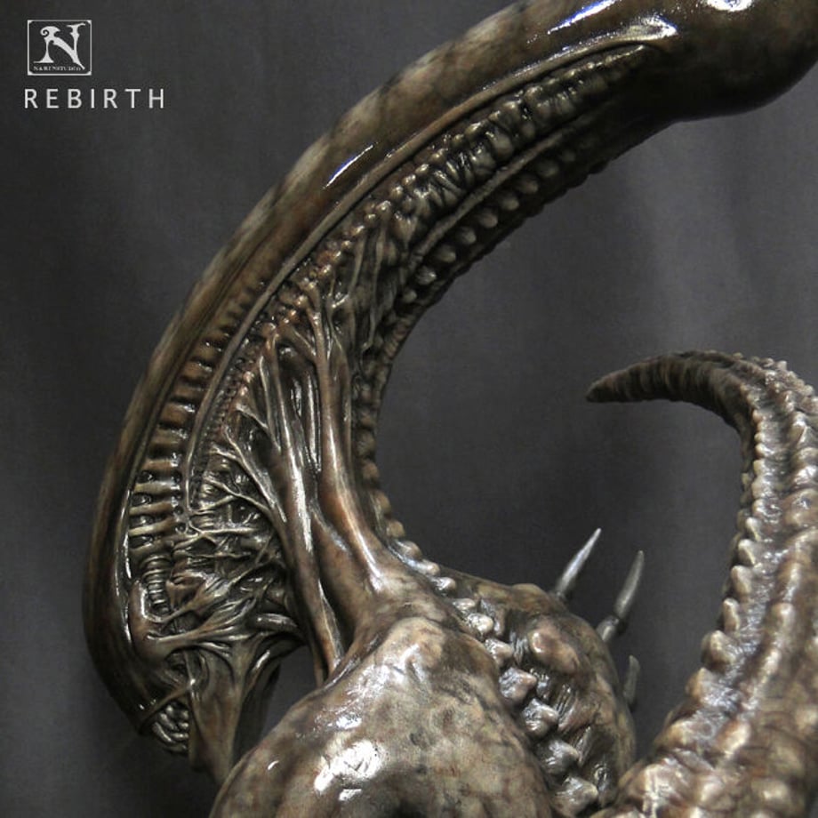 REBIRTH 完成品 | Roswell Japan