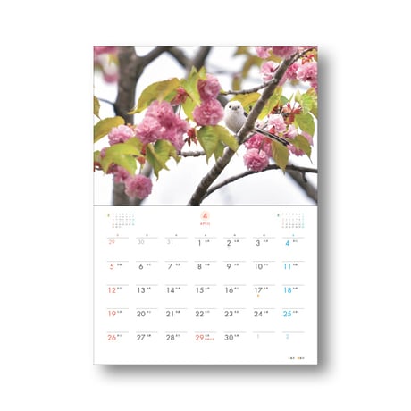 fauraシマエナガカレンダー2026 | faura store