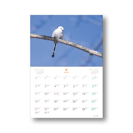 fauraシマエナガカレンダー2026 | faura store