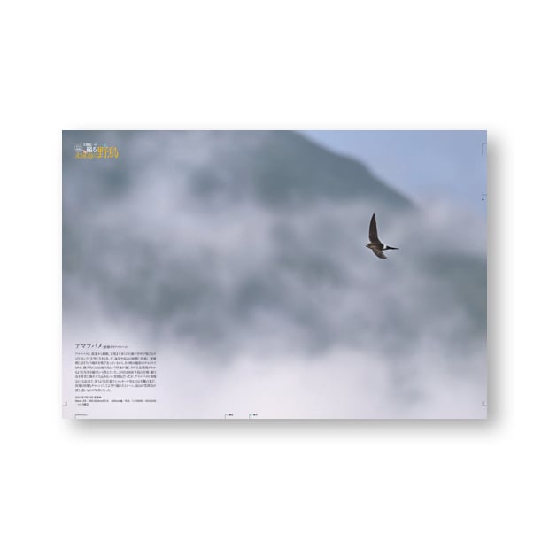 faura（ファウラ）67号【2025・4・25発行】 | faura store