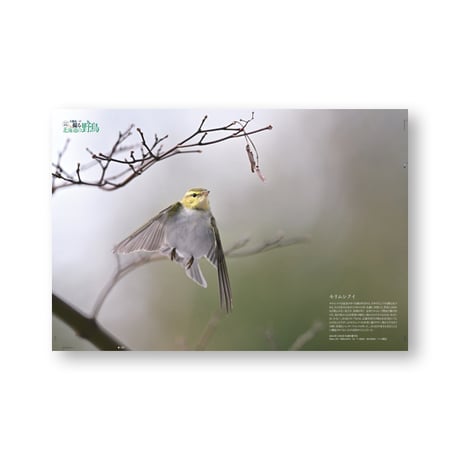 faura（ファウラ）67号【2025・4・25発行】 | faura store