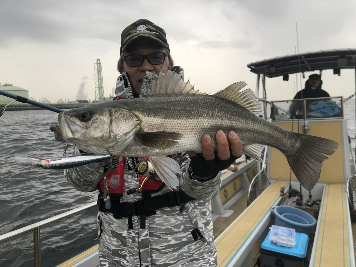 売り切れ間近（再販なし）ZESTY120 | BROVIS WEB STORE