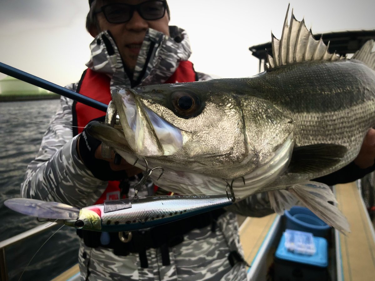 売り切れ間近（再販なし）ZESTY120 | BROVIS WEB STORE