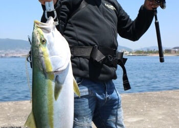 【NEXTスピン20g】シーバス、ヒラメ、青物、ロックフィッシュ | BROVIS WEB S...