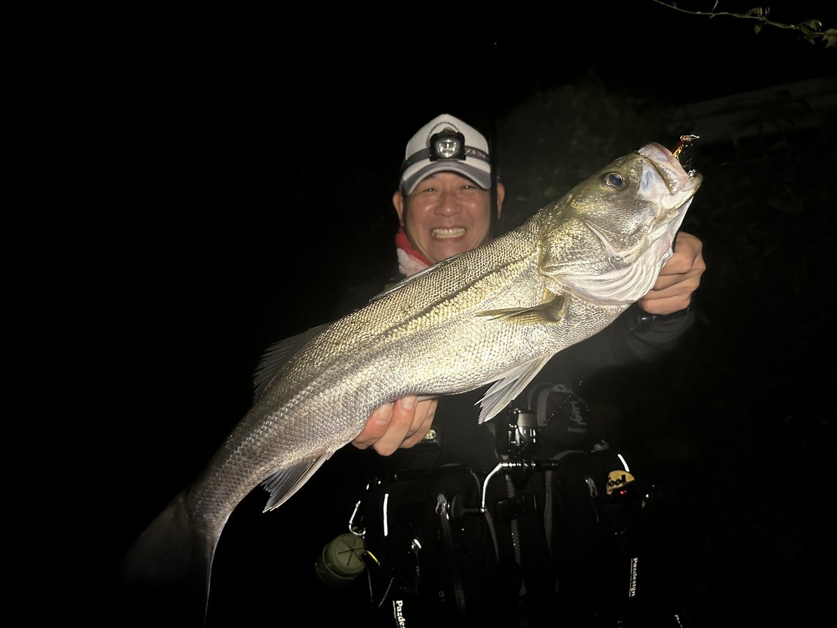 2023新発売・SUPREMO（スプレモ）105mm 85mmシンキング | BROVIS ...