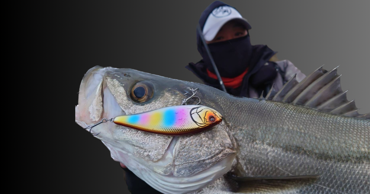 2023新発売・SUPREMO（スプレモ）105mm 85mmシンキング | BROVIS ...