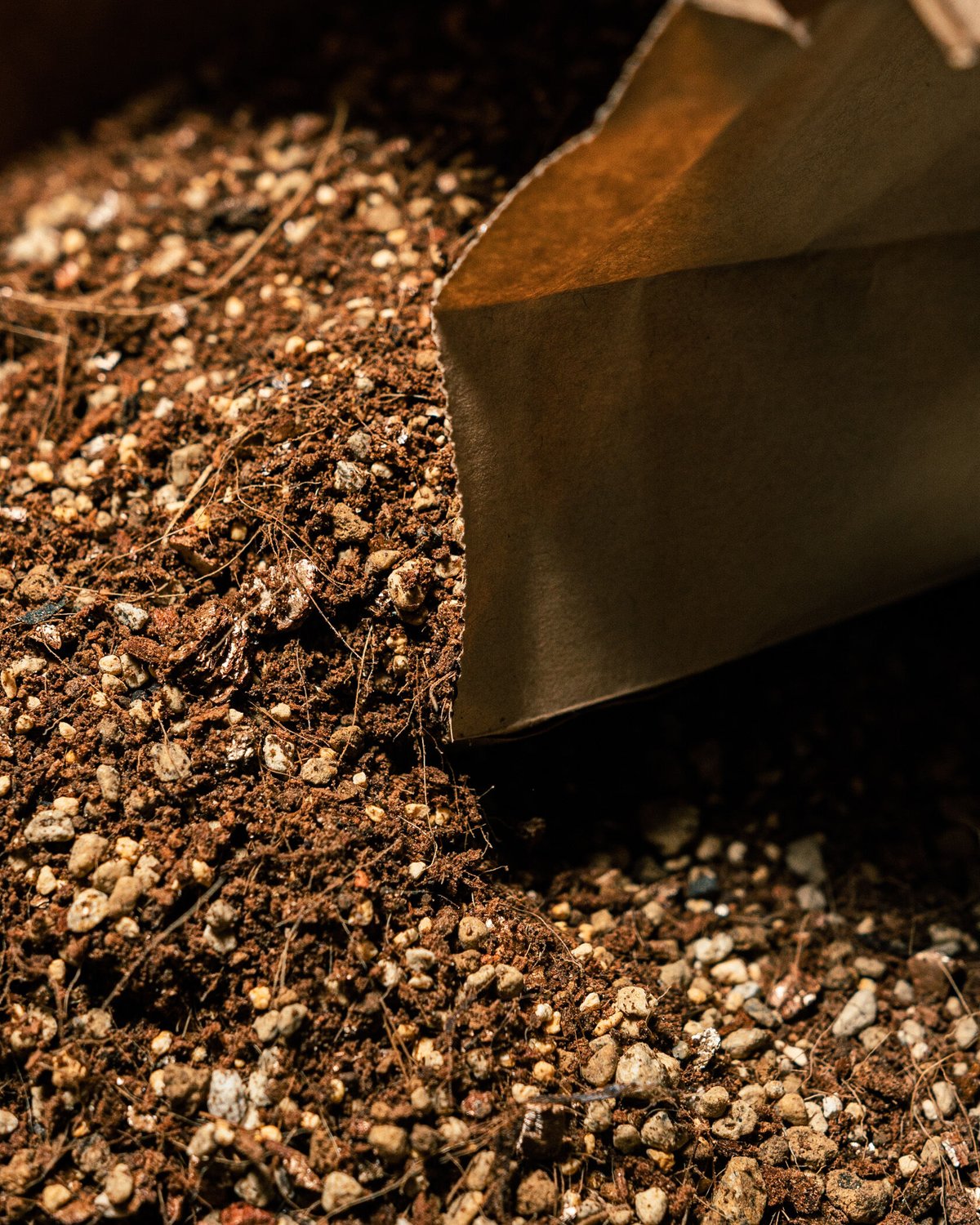 ジャングルの土 | TIANA STORE