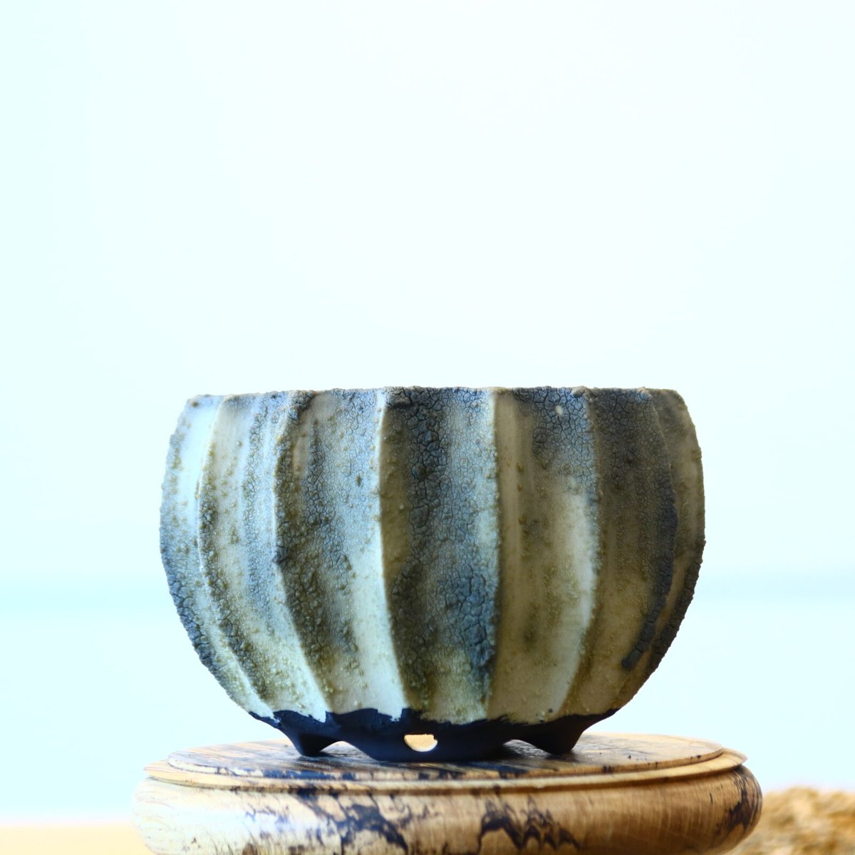 soso/礎礎 / Bowl / Olive Reef / L no.1001-83 ...