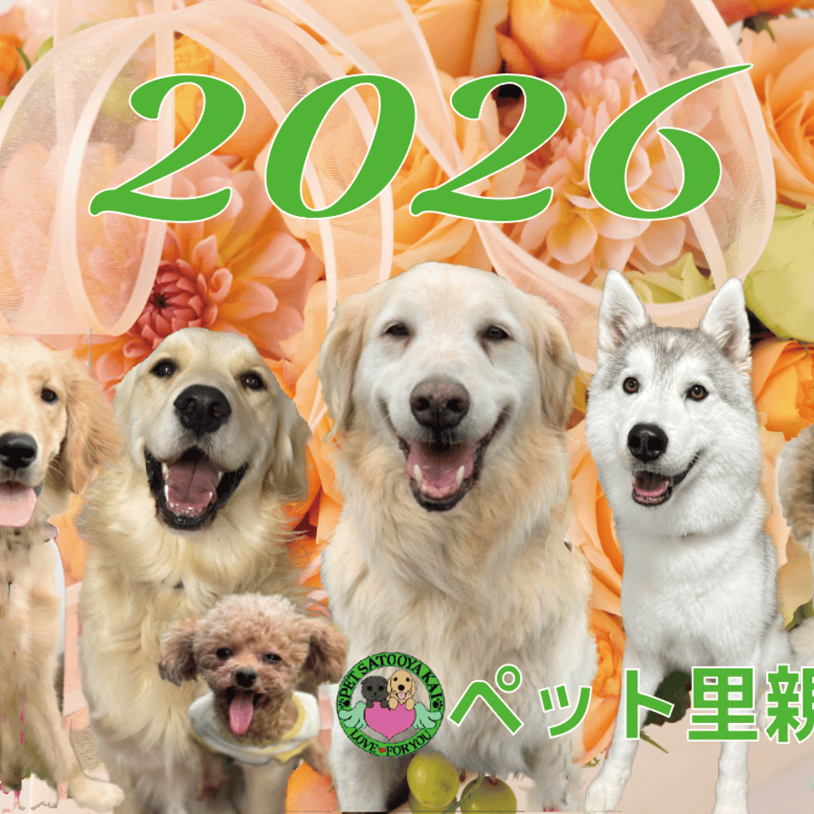 【NPO法人ペット里親会】2026年カレンダー | NPO法人ペット里親会