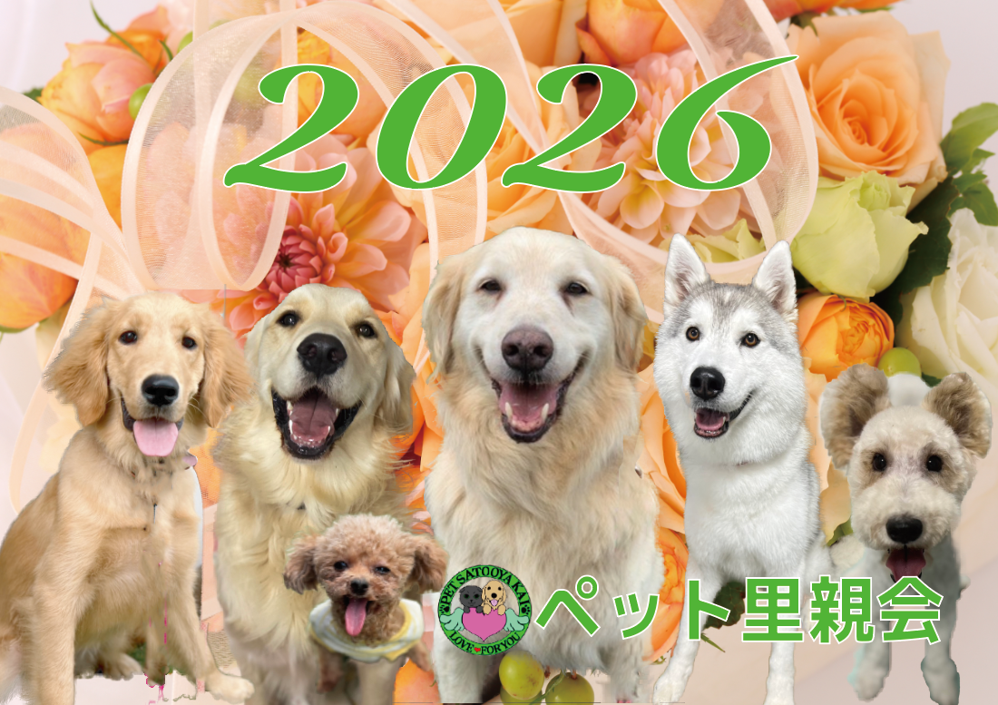 【NPO法人ペット里親会】2026年カレンダー | NPO法人ペット里親会