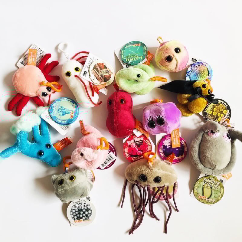 キーチェーン 人体 4-Type |GIANTmicrobes | はちみせ (83) キーチェーン 人体 4-Type |GIANTmicrobes | はちみせ (83)