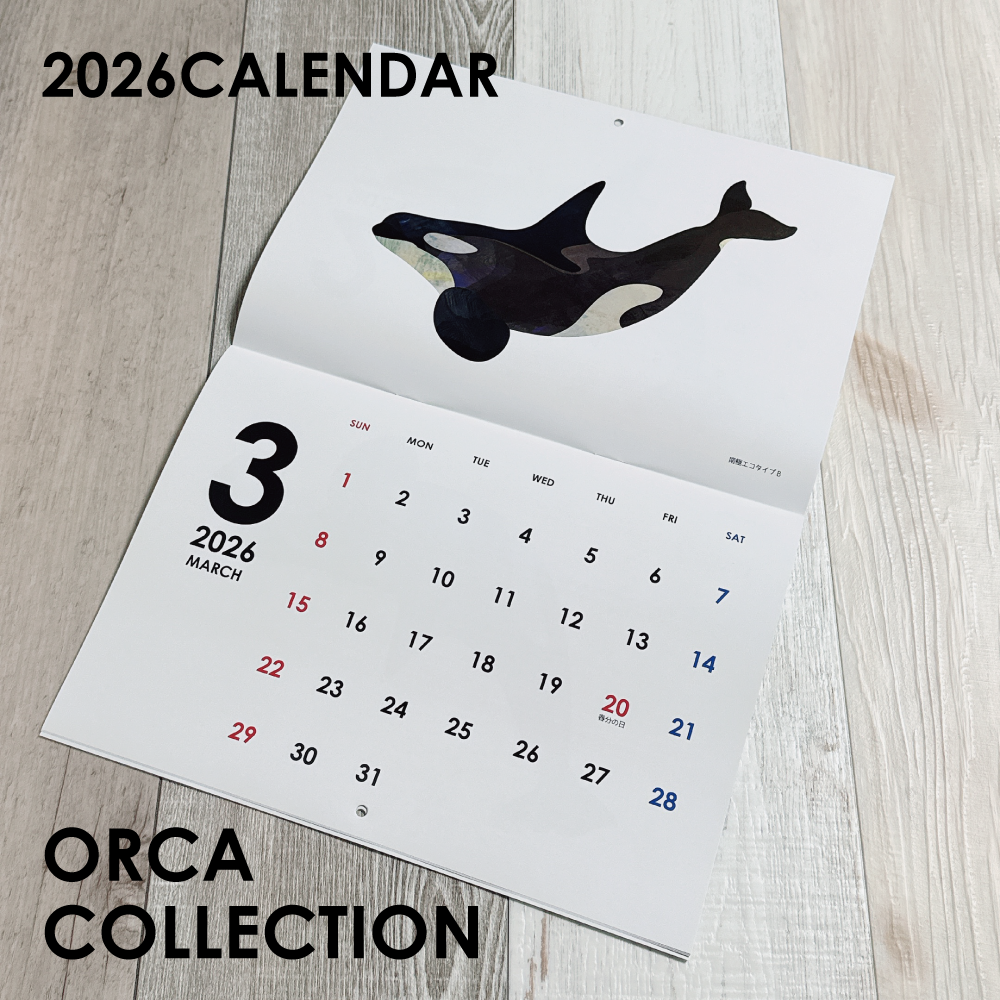 2026年壁掛け・シャチカレンダー ORCA COLLECTION | クジラの雑貨屋さん