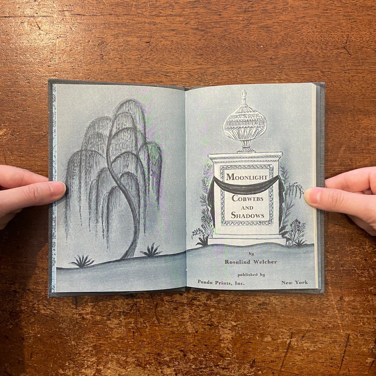 「Moonlight Cobwebs and Shadows」Rosalind Welcher...
