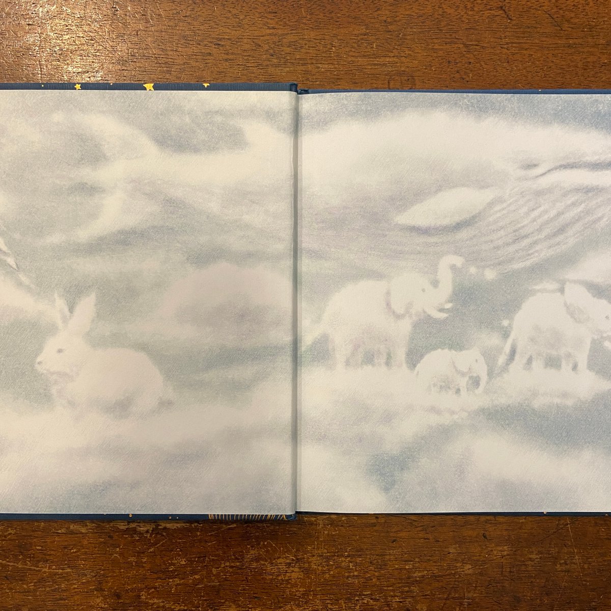 「OCEAN MEETS SKY」The Fan Brothers（Terry Fan & E...
