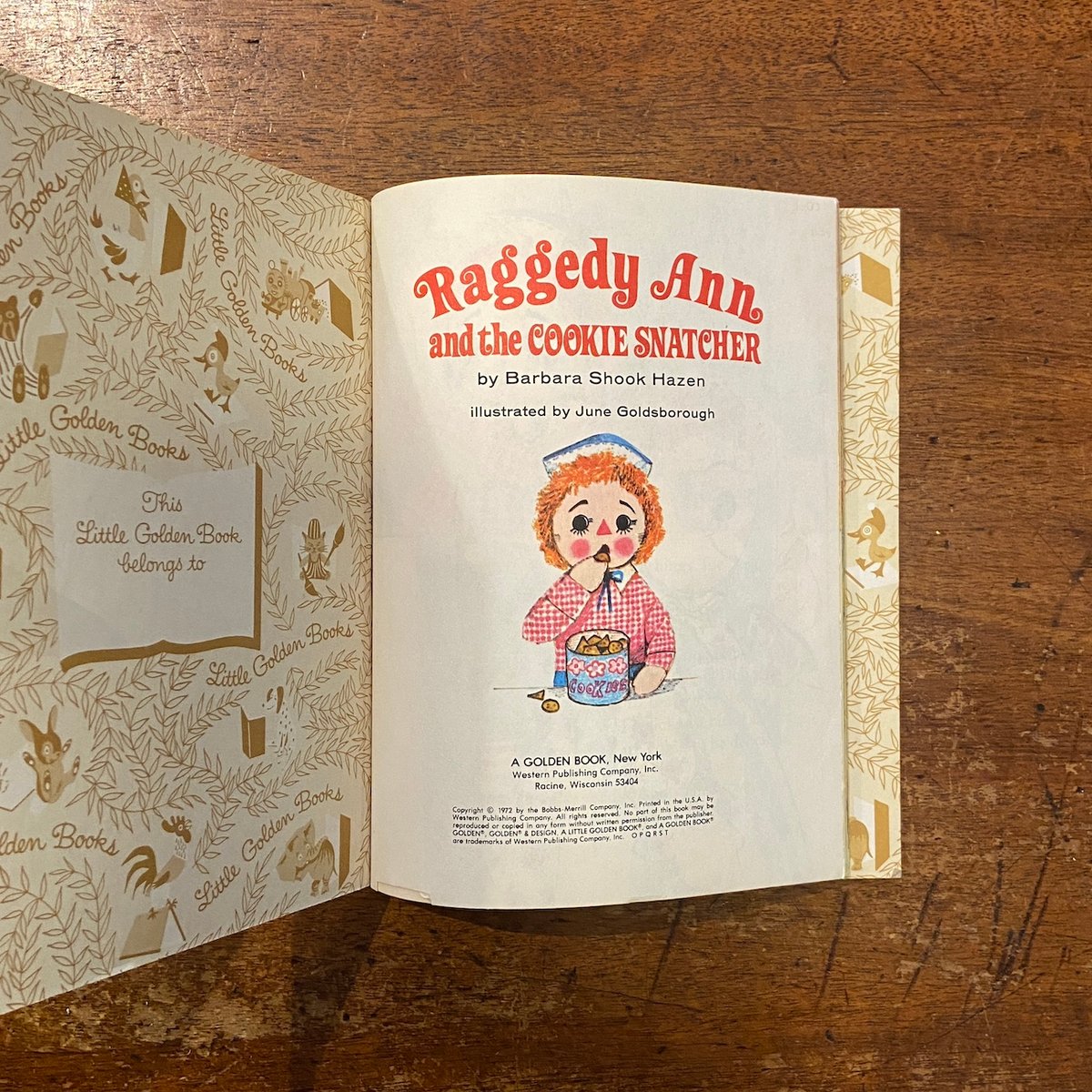 「Raggedy Ann and the COOKIE SNATCHER」Barbara Sh...