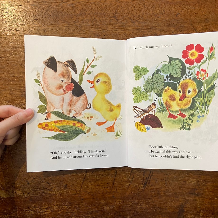 「The Fuzzy Duckling」Jane Werner Watson Alicce